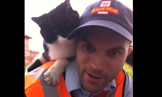 Real-Life Postman Pat and His Black & White Cat | Central Mailing Services